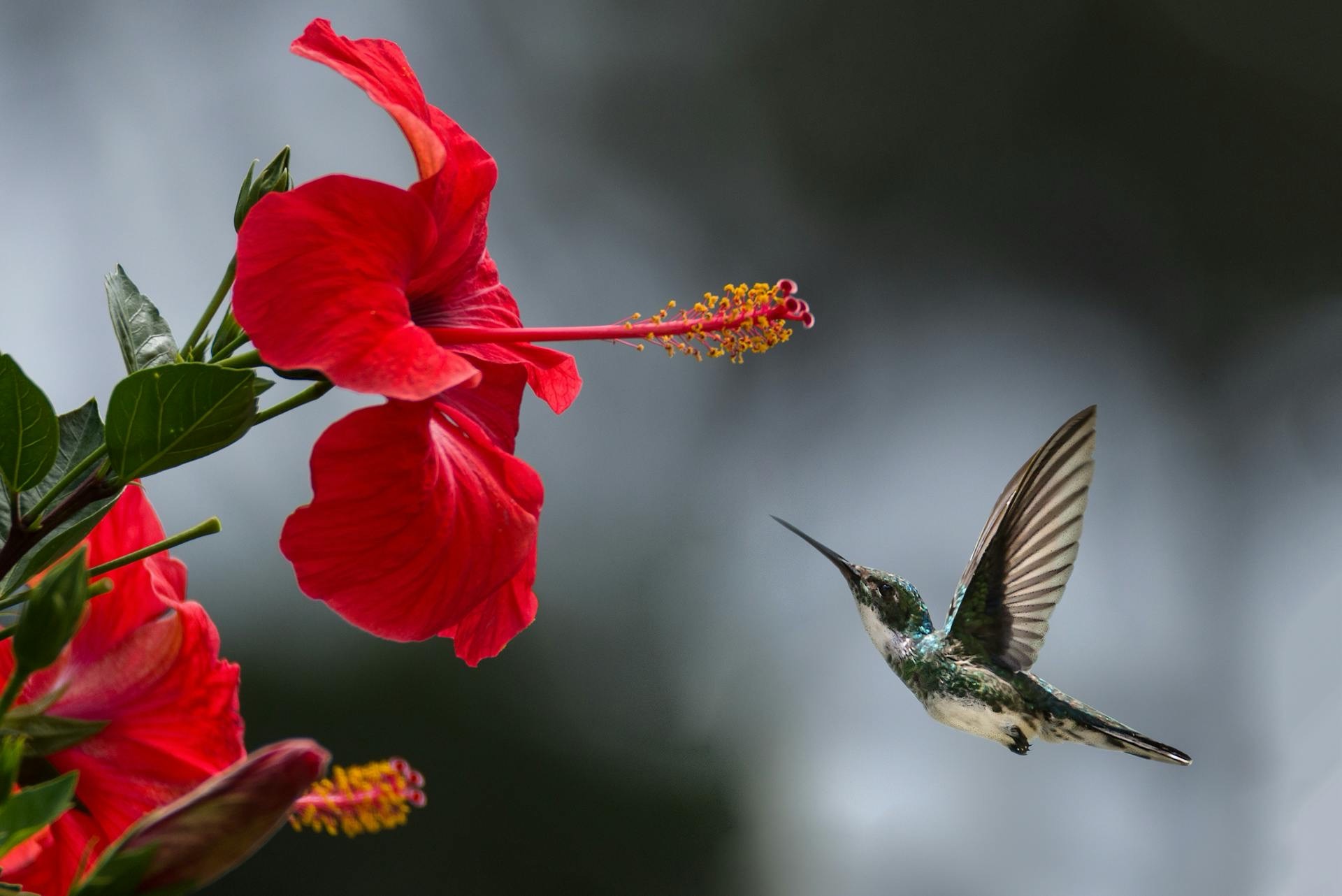 Precious Time – My Poetic Style